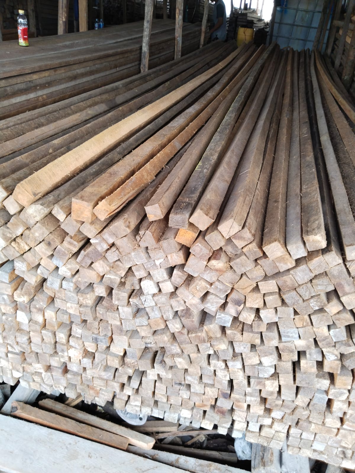 SIPLah Telkom - Belanja Keperluan Sekolah Online Makin Mudah