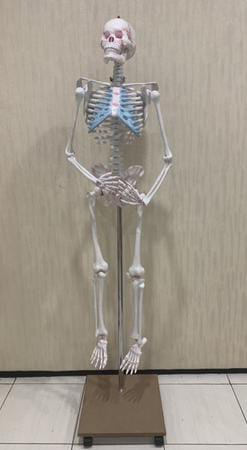 SIPLah Telkom - Belanja Keperluan Sekolah Online Makin Mudah