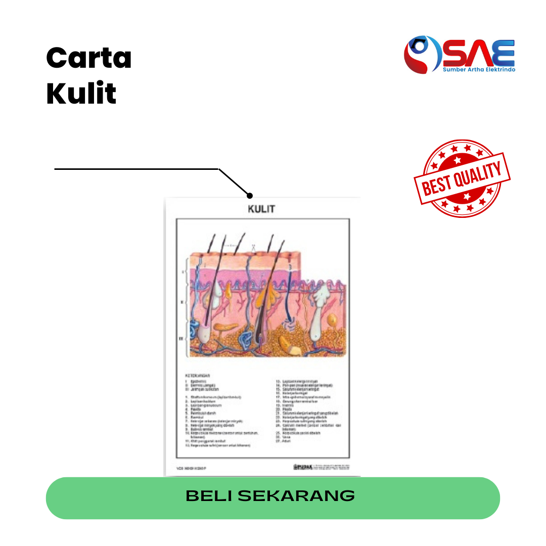 SIPLah Telkom - Belanja Keperluan Sekolah Online Makin Mudah