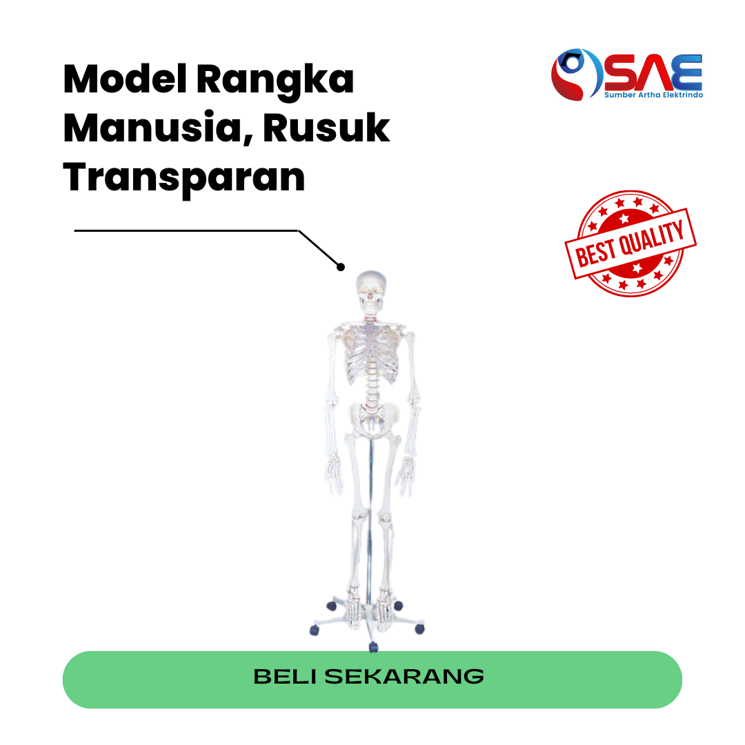 SIPLah Telkom - Belanja Keperluan Sekolah Online Makin Mudah