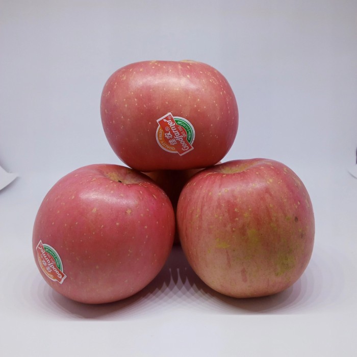 SIPLah Telkom - Belanja Keperluan Sekolah Online Makin Mudah