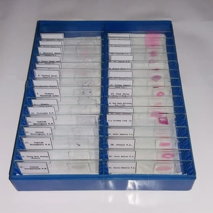 SIPLah Telkom - Belanja Keperluan Sekolah Online Makin Mudah