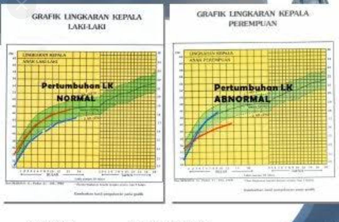 Lembar Ddtk Siplah