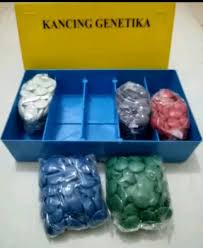 SIPLah Telkom - Belanja Keperluan Sekolah Online Makin Mudah