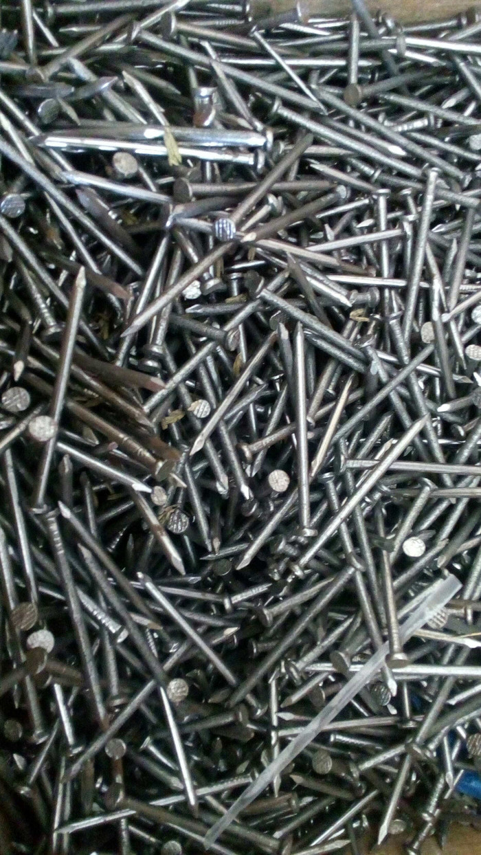 Paku Biasa 1 Inch | SIPLah