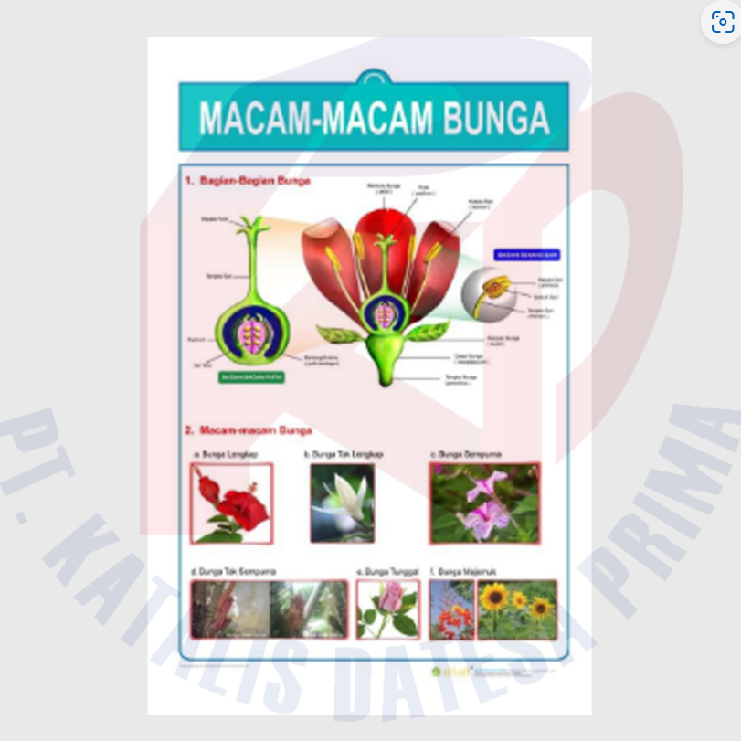 SIPLah Telkom - Belanja Keperluan Sekolah Online Makin Mudah