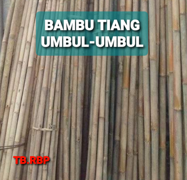 BAMBU TIANG UMBUL-UMBUL | SIPLah