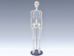 SIPLah Telkom - Belanja Keperluan Sekolah Online Makin Mudah