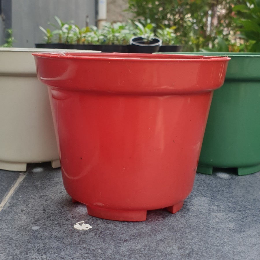 Pot Mini Basic Polos | SIPLah