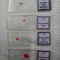 SIPLah Telkom - Belanja Keperluan Sekolah Online Makin Mudah