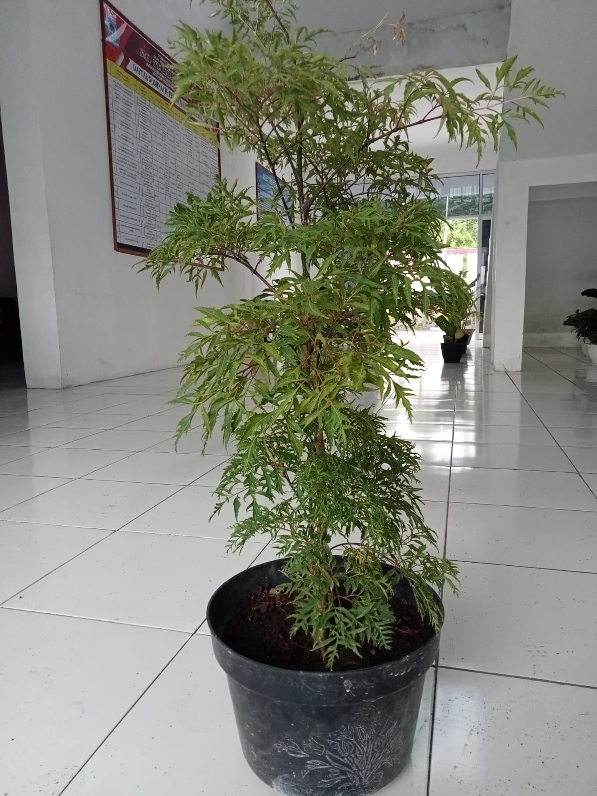 SIPLah Telkom - Belanja Keperluan Sekolah Online Makin Mudah