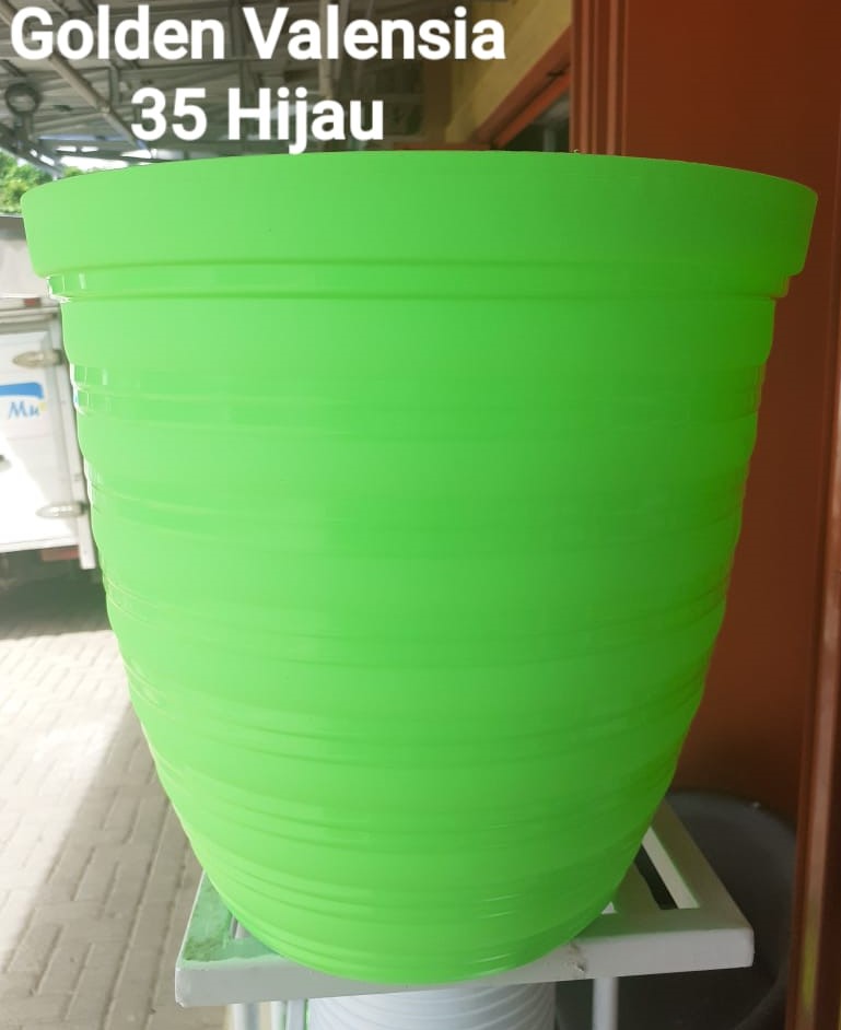 POT BUNGA GOLDEN VALENSIA 35 HIJAU | SIPLah