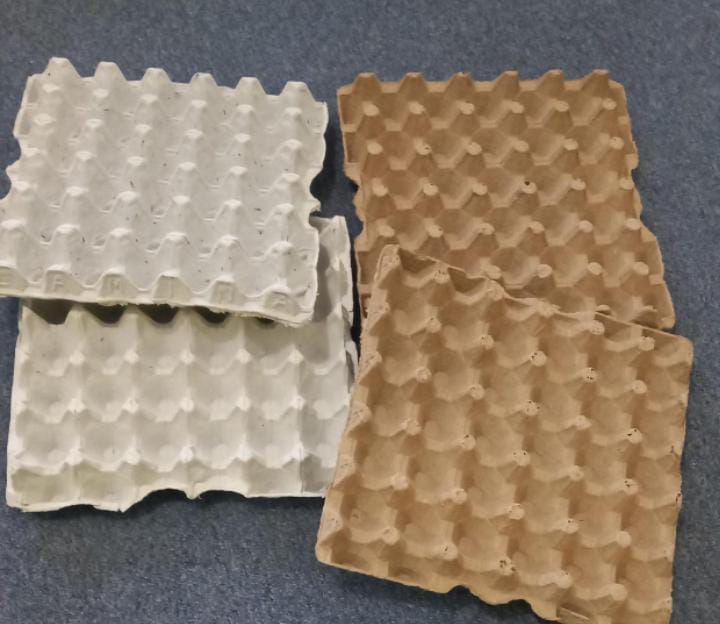 Krat Telur satuan | SIPLah