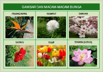Poster Macam-Macam Bunga | SIPLah