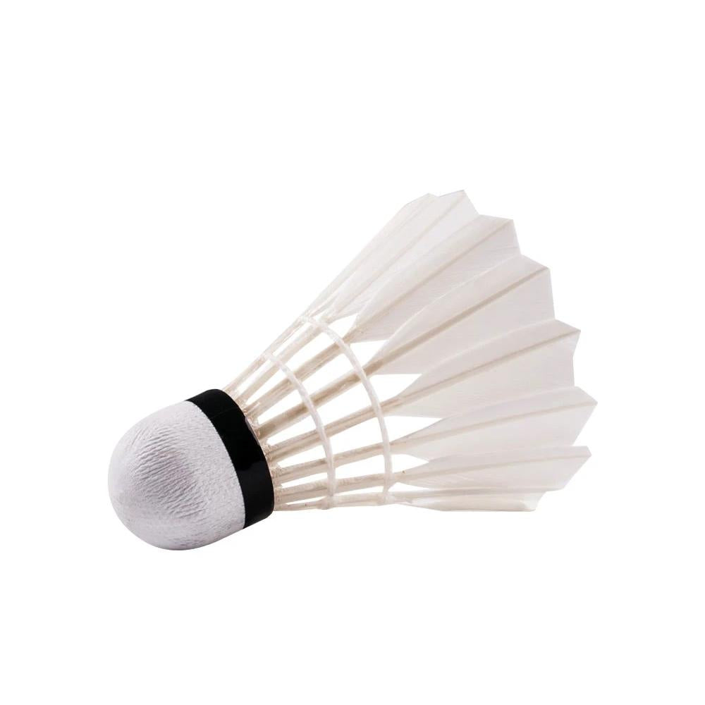 Shuttlecock | SIPLah