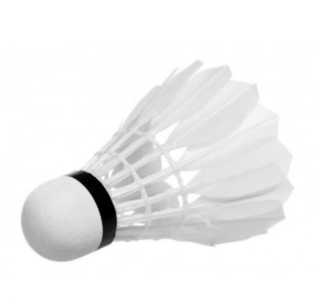 SHUTTLE COCK | SIPLah