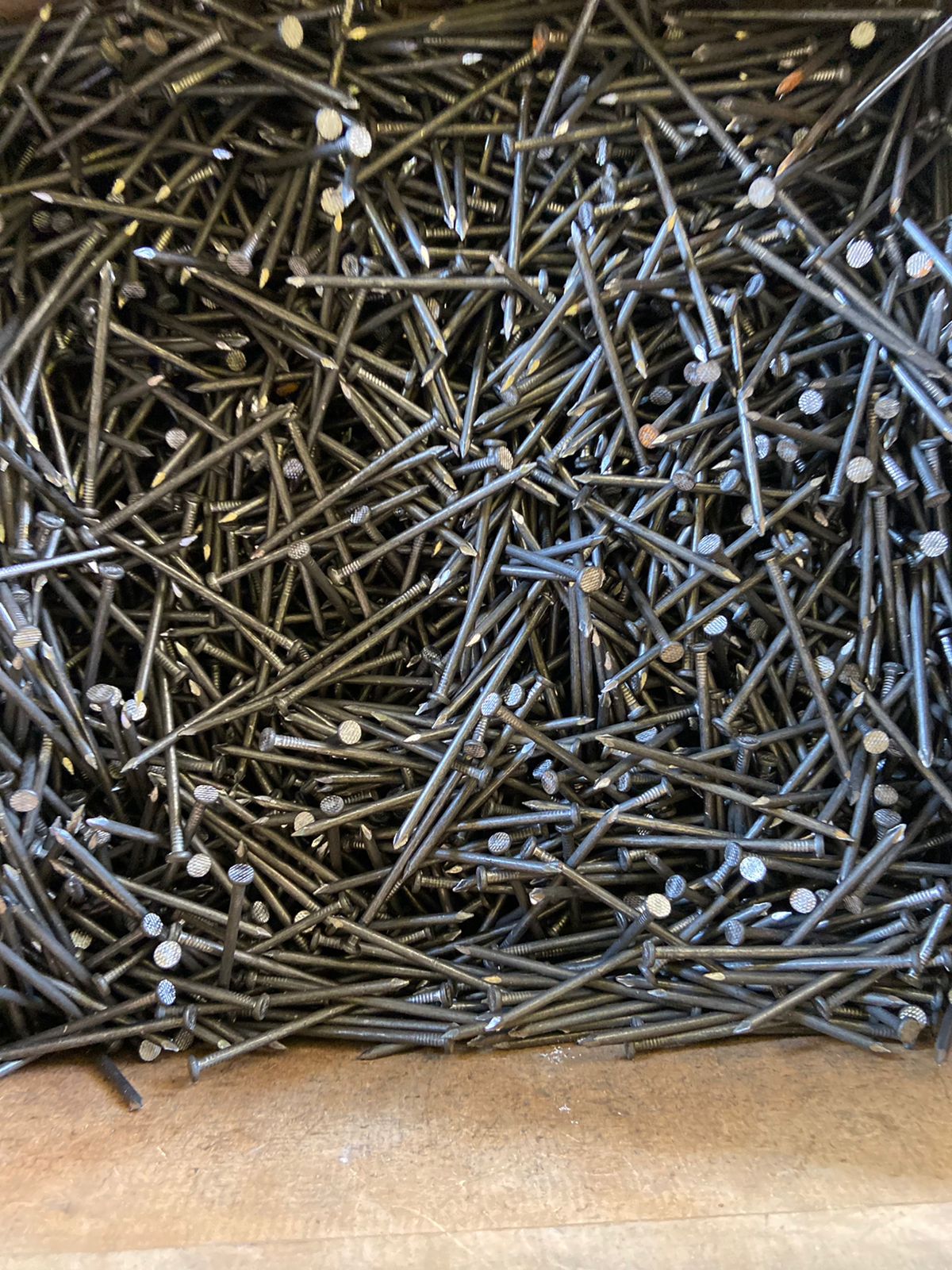 Paku Kayu (ukuran 1 s.d 6 inch) | SIPLah