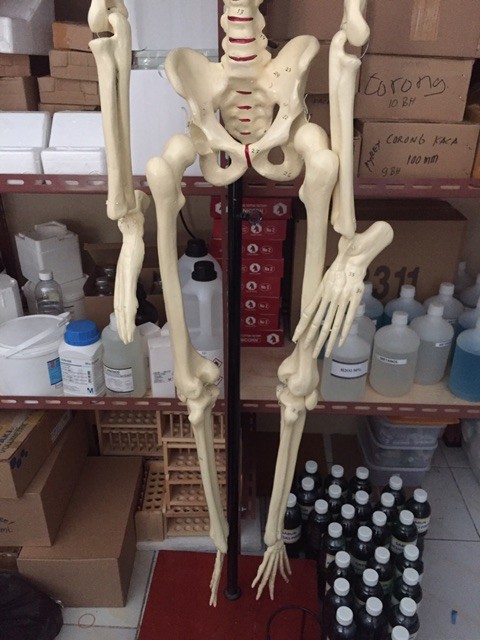 SIPLah Telkom - Belanja Keperluan Sekolah Online Makin Mudah