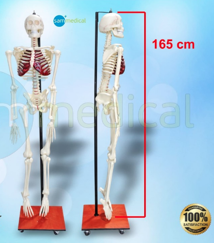 SIPLah Telkom - Belanja Keperluan Sekolah Online Makin Mudah