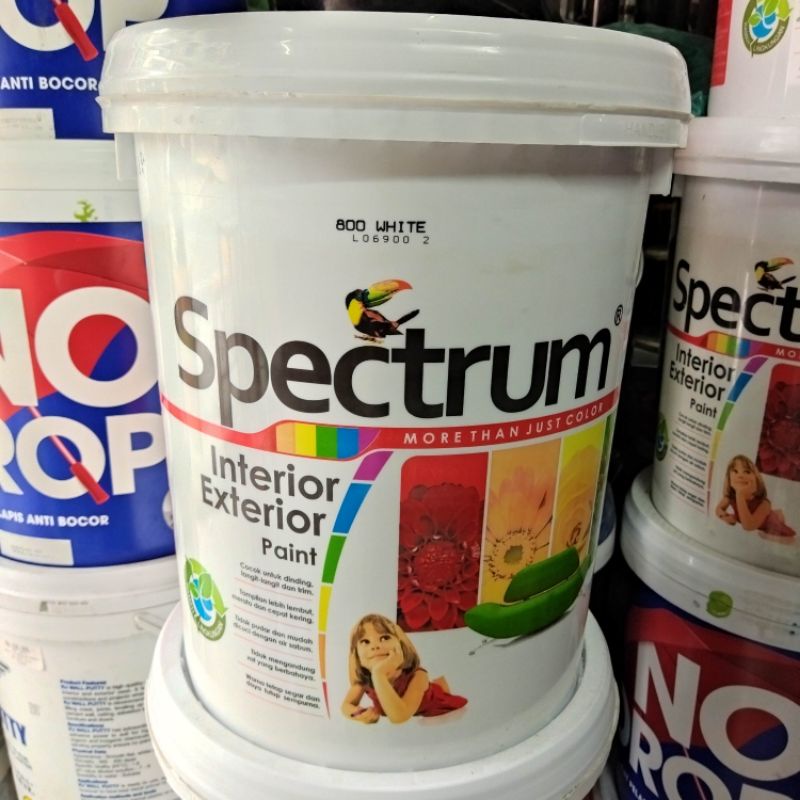 Cat Tembok Spectrum | SIPLah