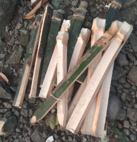 SIPLah Telkom - Belanja Keperluan Sekolah Online Makin Mudah