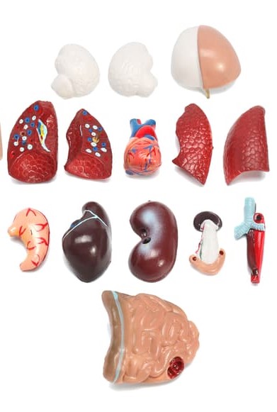 SIPLah Telkom - Belanja Keperluan Sekolah Online Makin Mudah