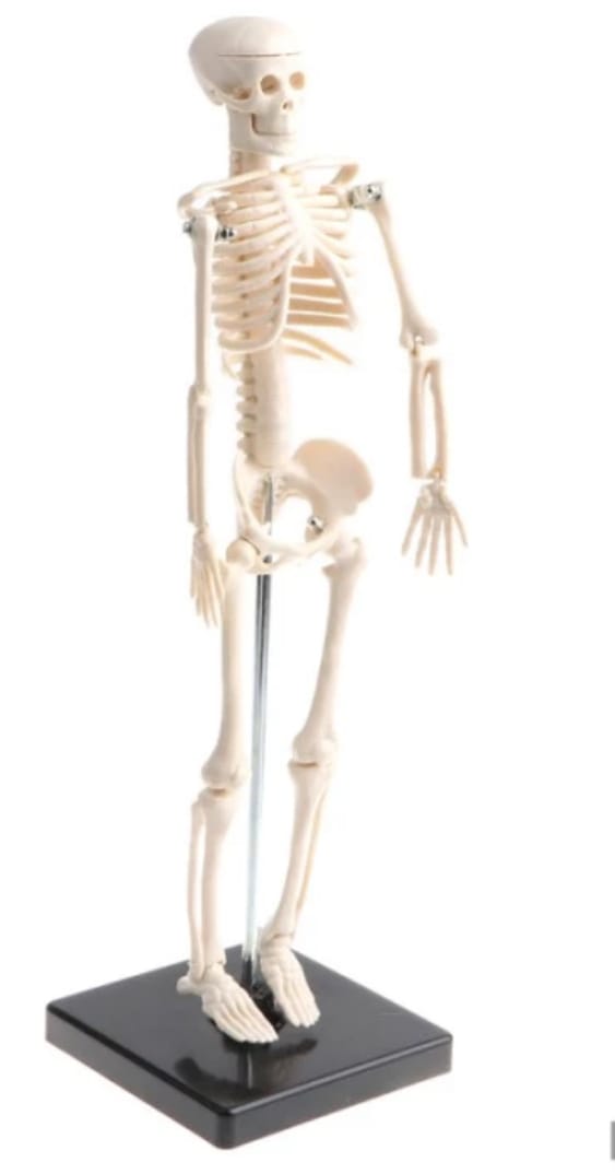 SIPLah Telkom - Belanja Keperluan Sekolah Online Makin Mudah