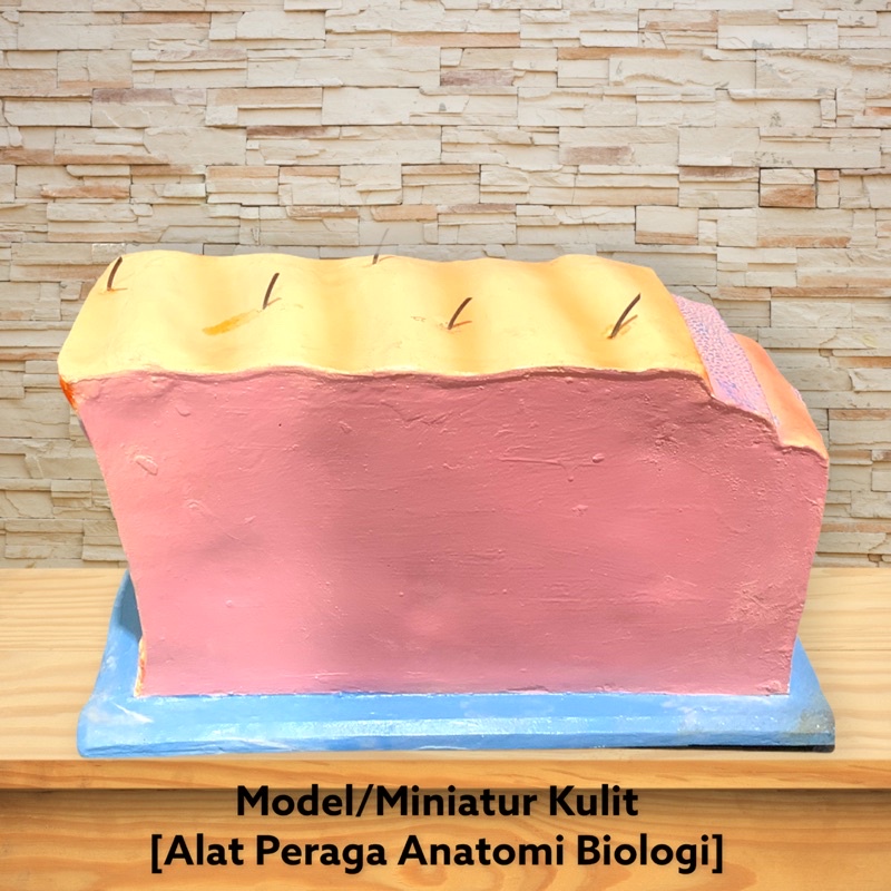 SIPLah Telkom - Belanja Keperluan Sekolah Online Makin Mudah