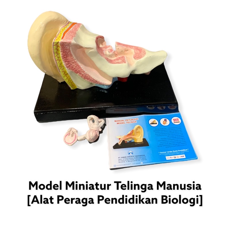 SIPLah Telkom - Belanja Keperluan Sekolah Online Makin Mudah