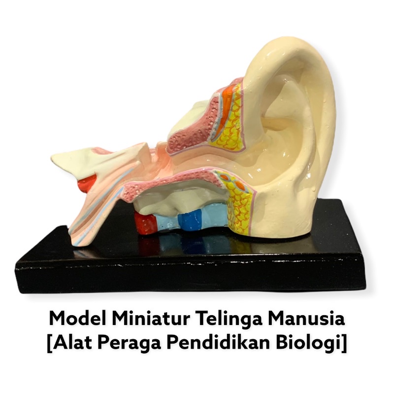 SIPLah Telkom - Belanja Keperluan Sekolah Online Makin Mudah