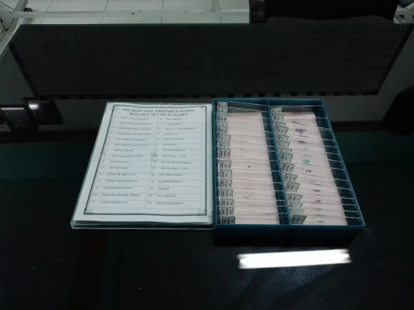 SIPLah Telkom - Belanja Keperluan Sekolah Online Makin Mudah