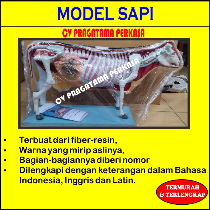 SIPLah Telkom - Belanja Keperluan Sekolah Online Makin Mudah