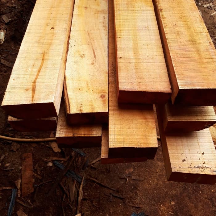 KAYU BROTI 3X4 / Batang | SIPLah