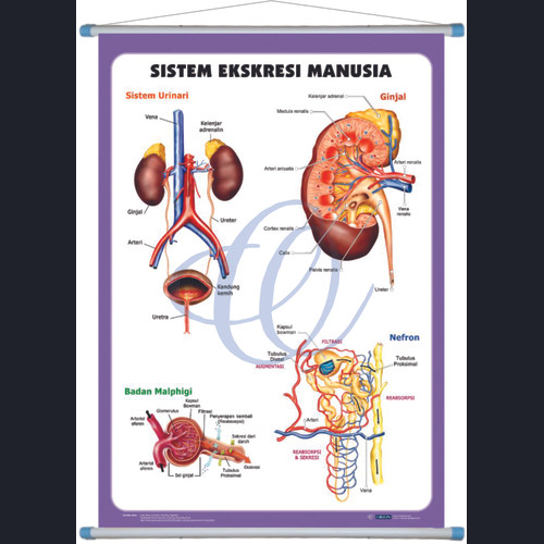 SIPLah Telkom - Belanja Keperluan Sekolah Online Makin Mudah