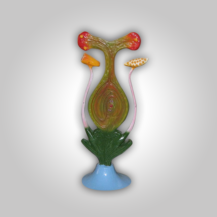 SIPLah Telkom - Belanja Keperluan Sekolah Online Makin Mudah