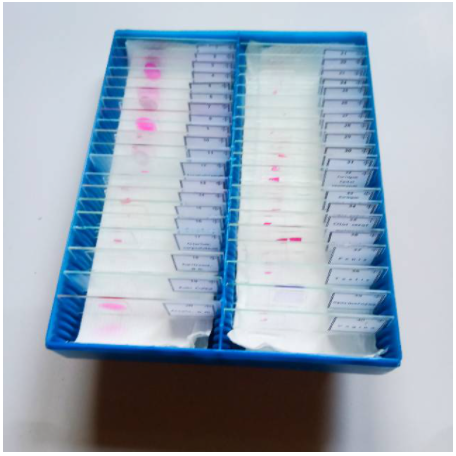 SIPLah Telkom - Belanja Keperluan Sekolah Online Makin Mudah