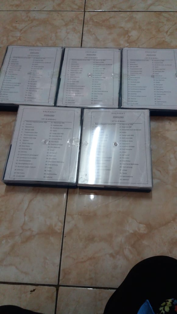 Preparat anatomi hewan | SIPLah