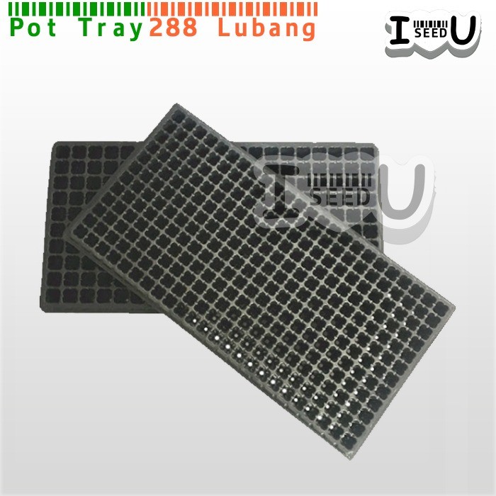tray semai | SIPLah