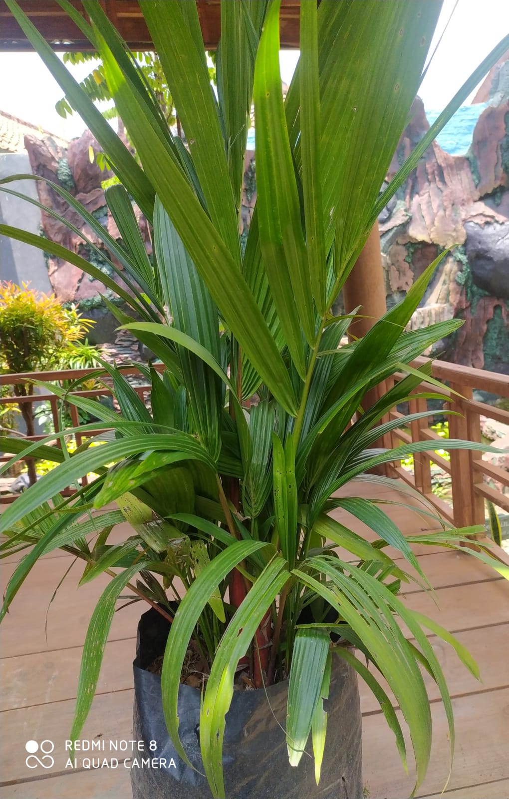 SIPLah Telkom - Belanja Keperluan Sekolah Online Makin Mudah