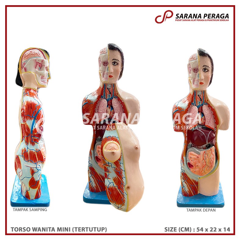 SIPLah Telkom - Belanja Keperluan Sekolah Online Makin Mudah