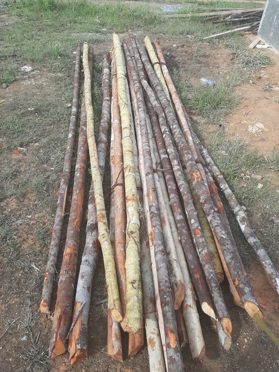 SIPLah Telkom - Belanja Keperluan Sekolah Online Makin Mudah