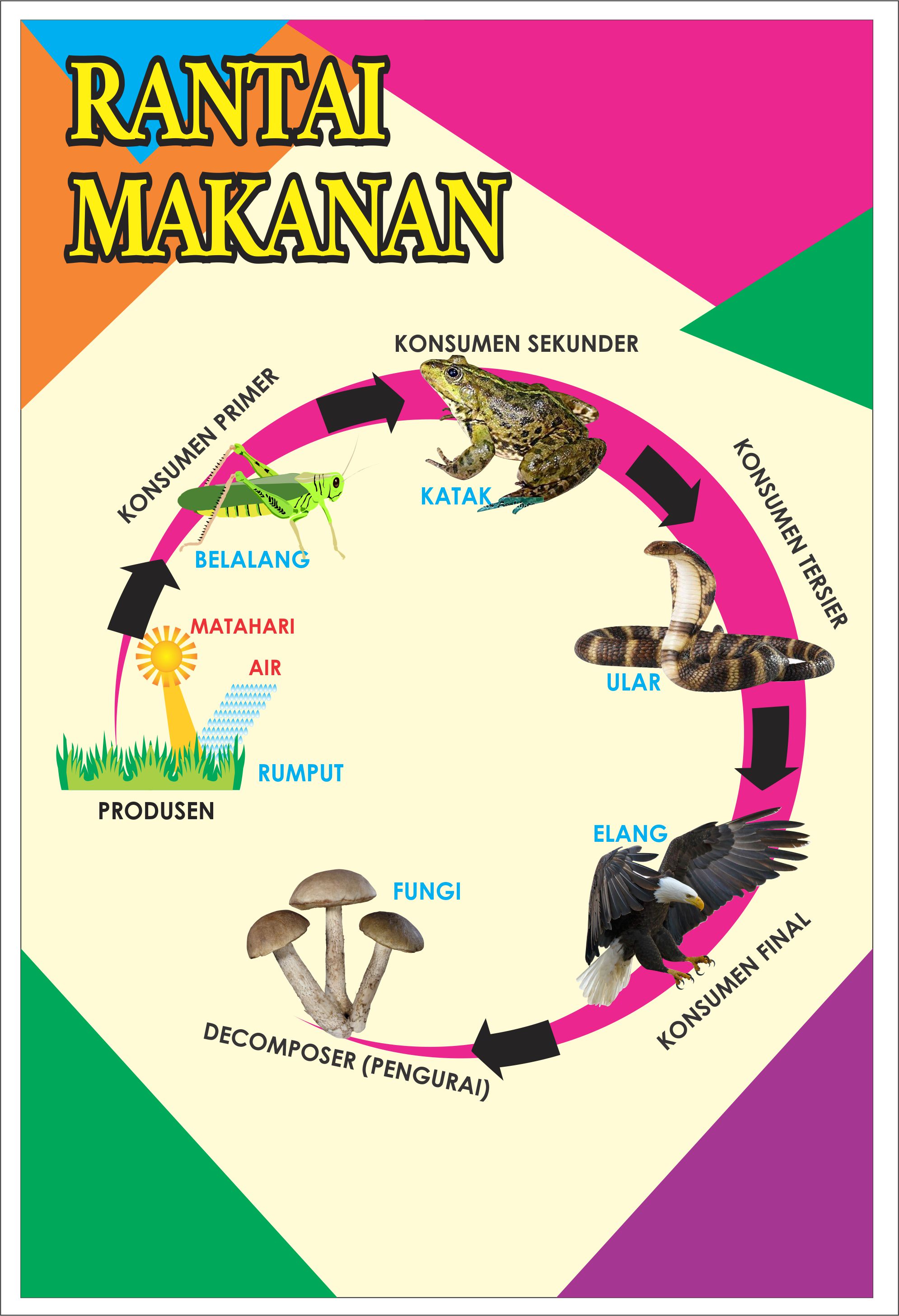 POSTER MEDIA PEMBELAJARAN | SIPLah POSTER MEDIA PEMBELAJARAN | SIPLah