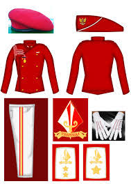 KOSTUM BAJU LOMBA PASKIBRA | SIPLah