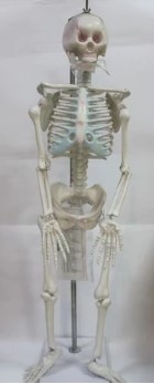 SIPLah Telkom - Belanja Keperluan Sekolah Online Makin Mudah