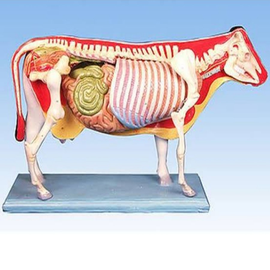 SIPLah Telkom - Belanja Keperluan Sekolah Online Makin Mudah